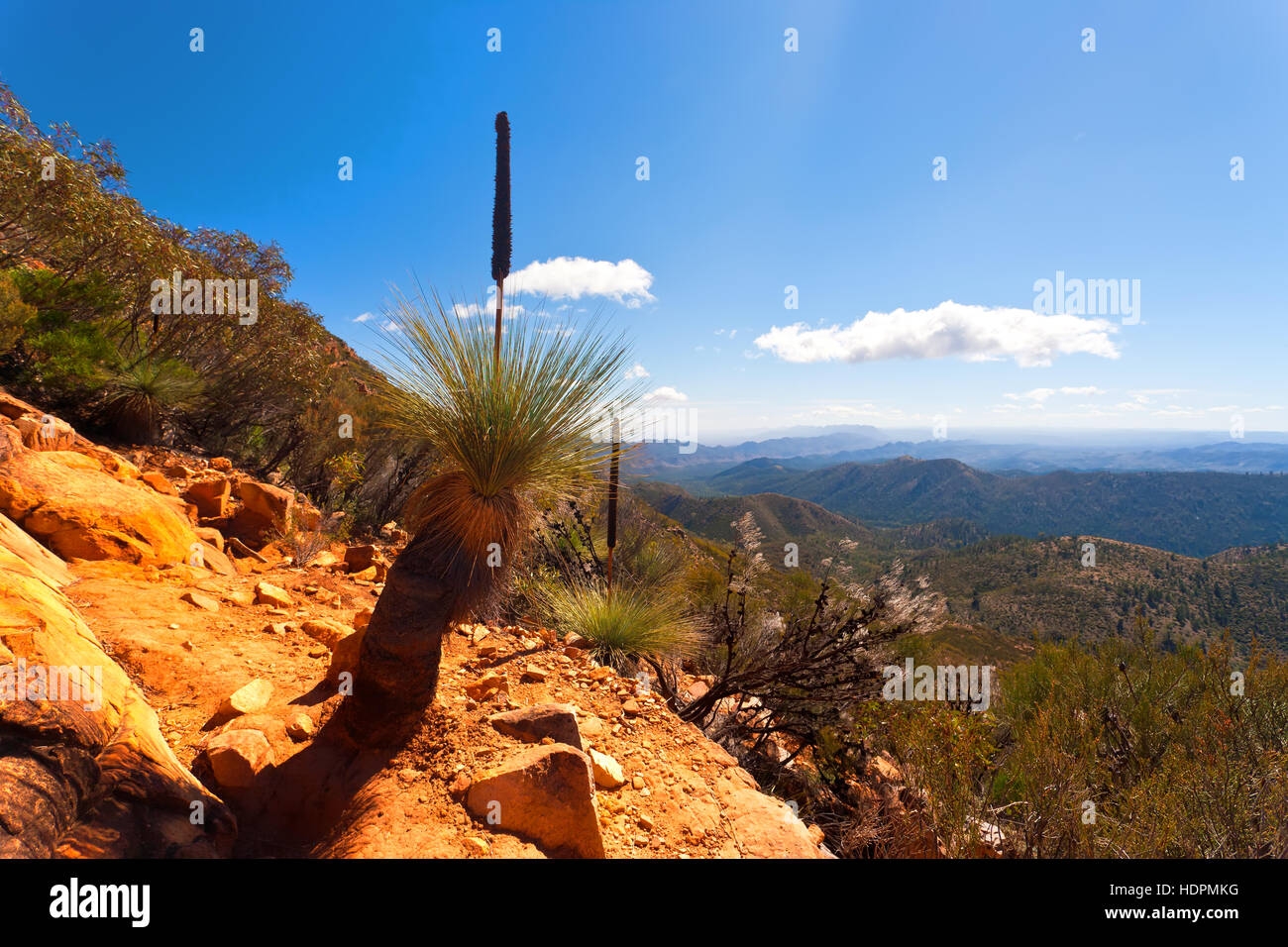 landscape outback Flinders Ranges South Australia Australian landscapes ...