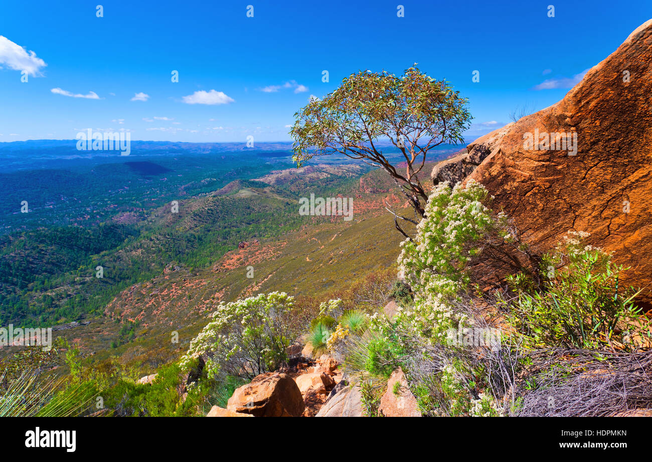 St mary peak hike south australia hi-res stock photography and images ...