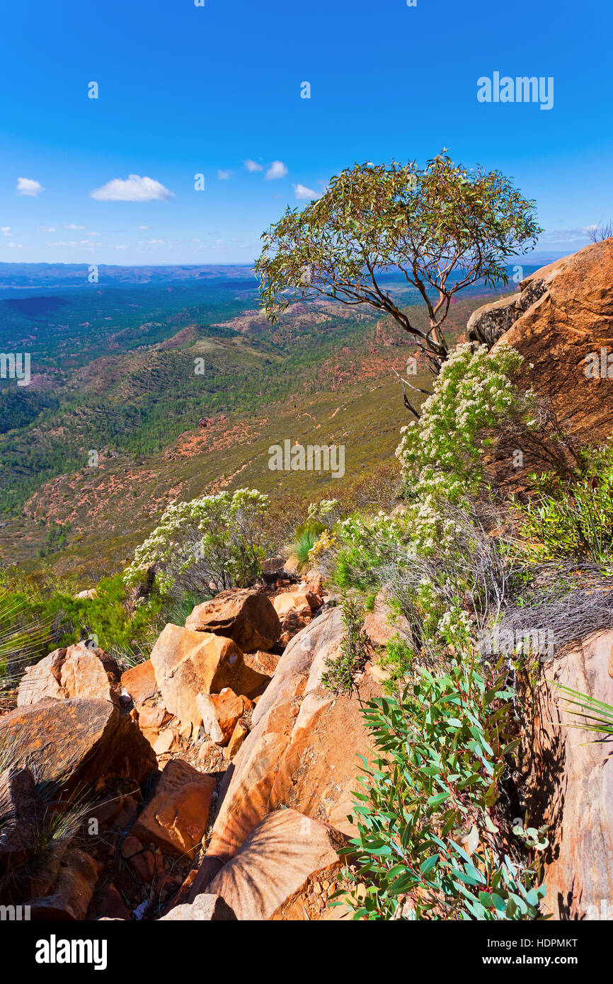 landscape outback Flinders Ranges South Australia Australian landscapes ...