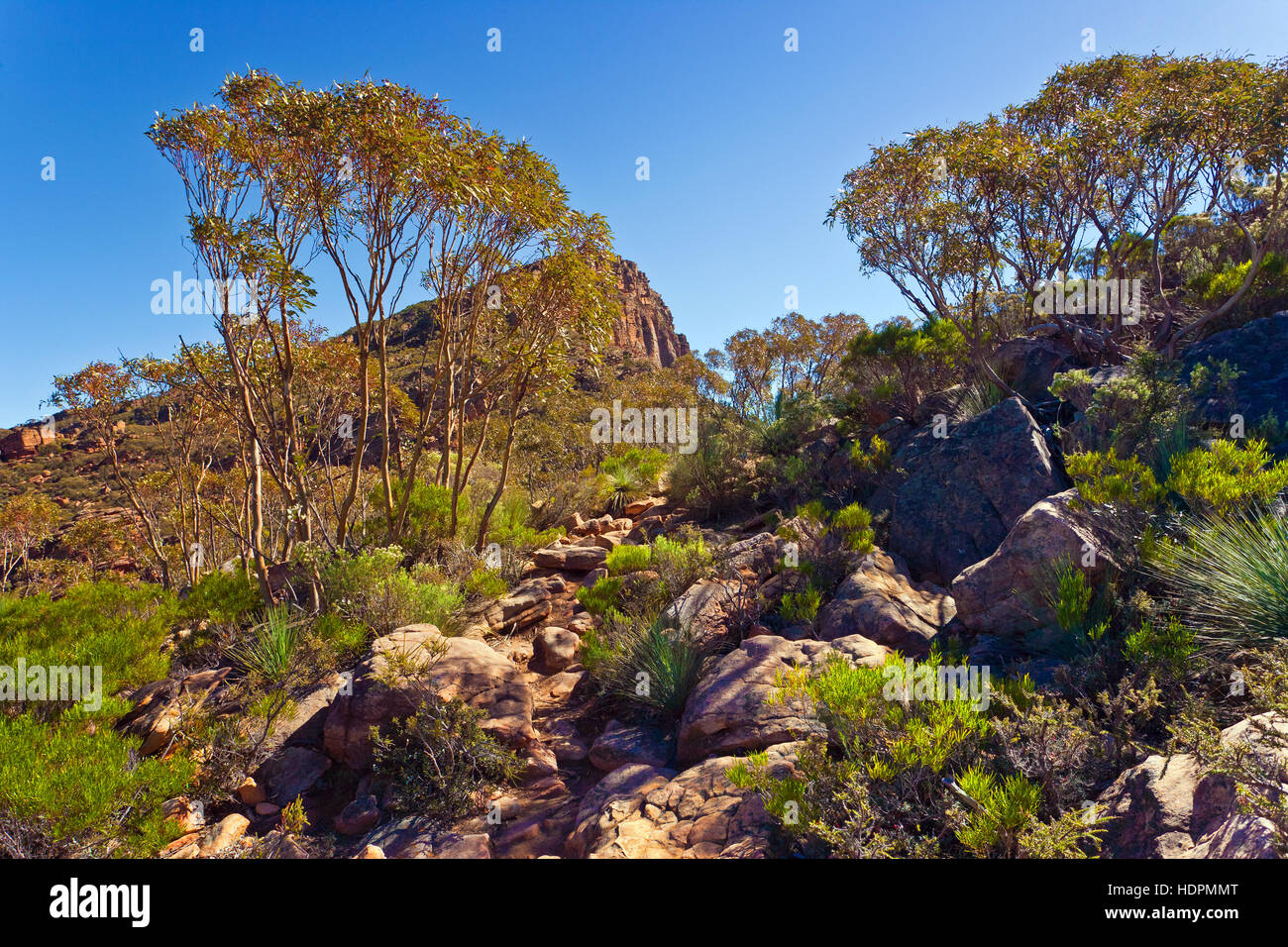 landscape outback Flinders Ranges South Australia Australian landscapes ...