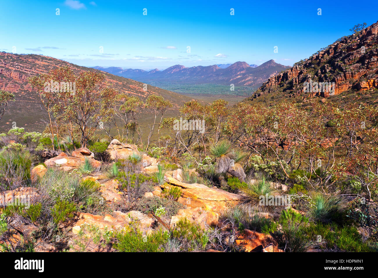 landscape outback Flinders Ranges South Australia Australian landscapes ...