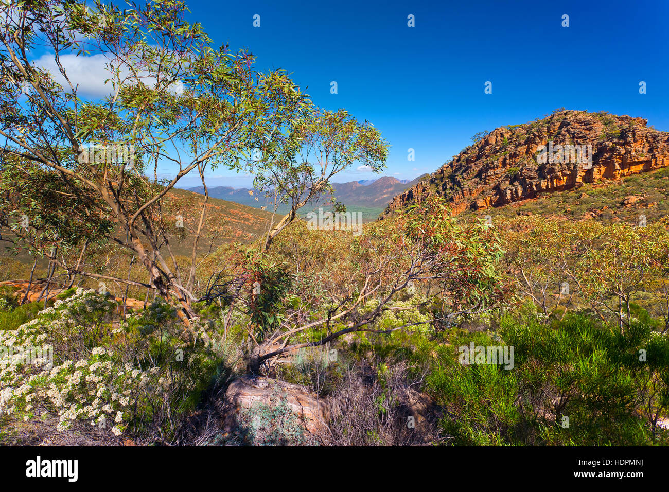 landscape outback Flinders Ranges South Australia Australian landscapes ...