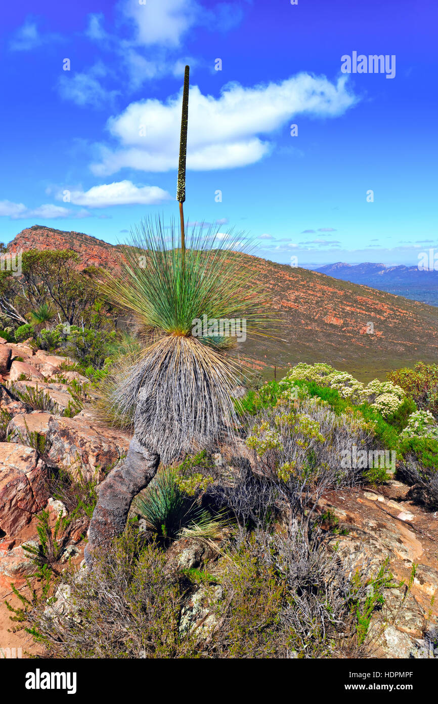 landscape outback Flinders Ranges South Australia Australian landscapes ...