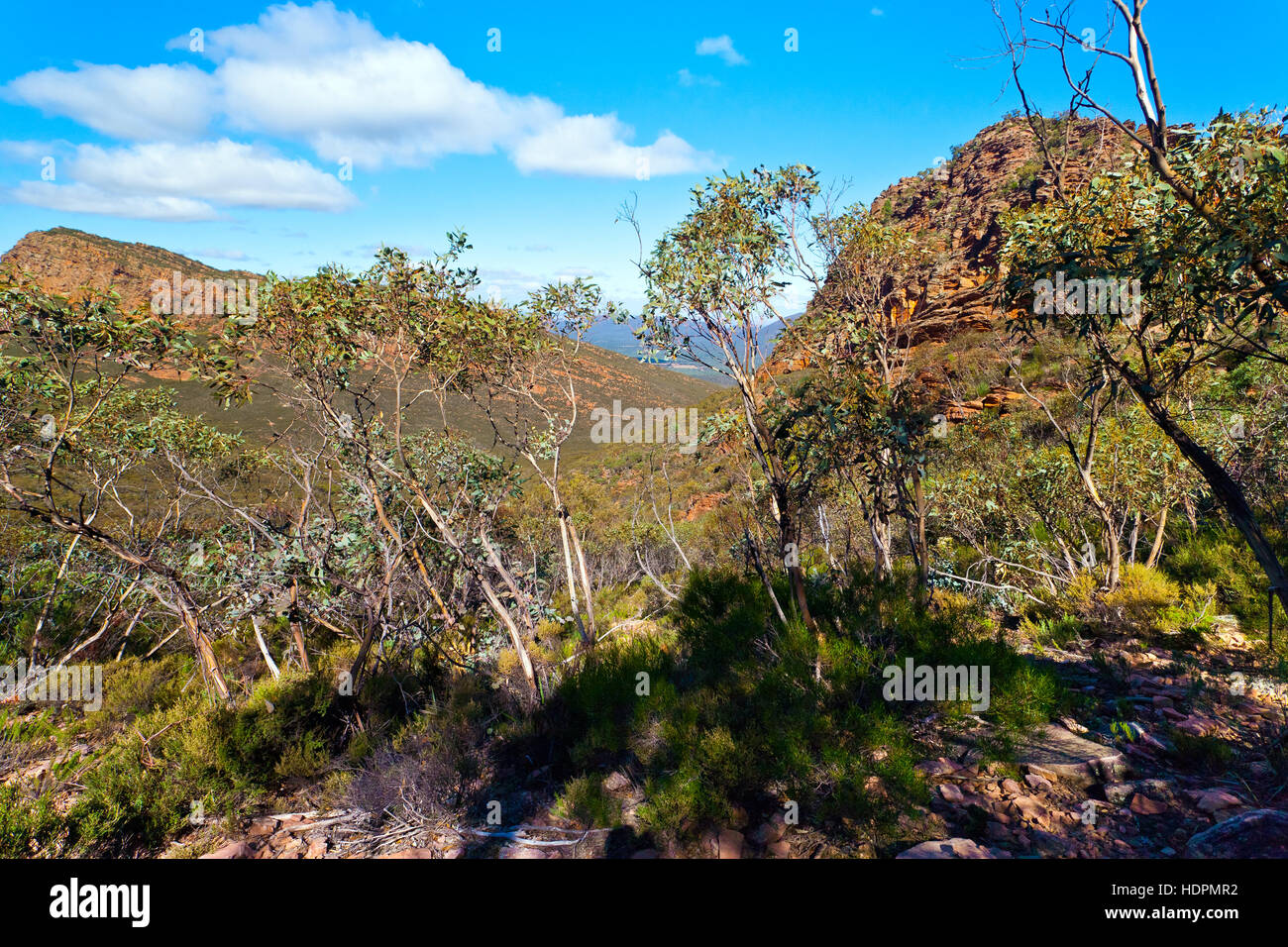 landscape outback Flinders Ranges South Australia Australian landscapes ...