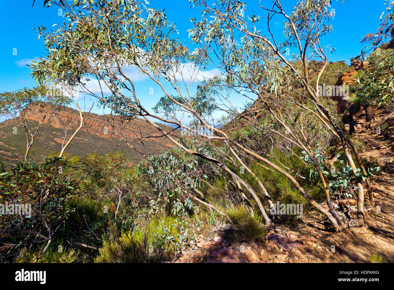 landscape outback Flinders Ranges South Australia Australian landscapes ...