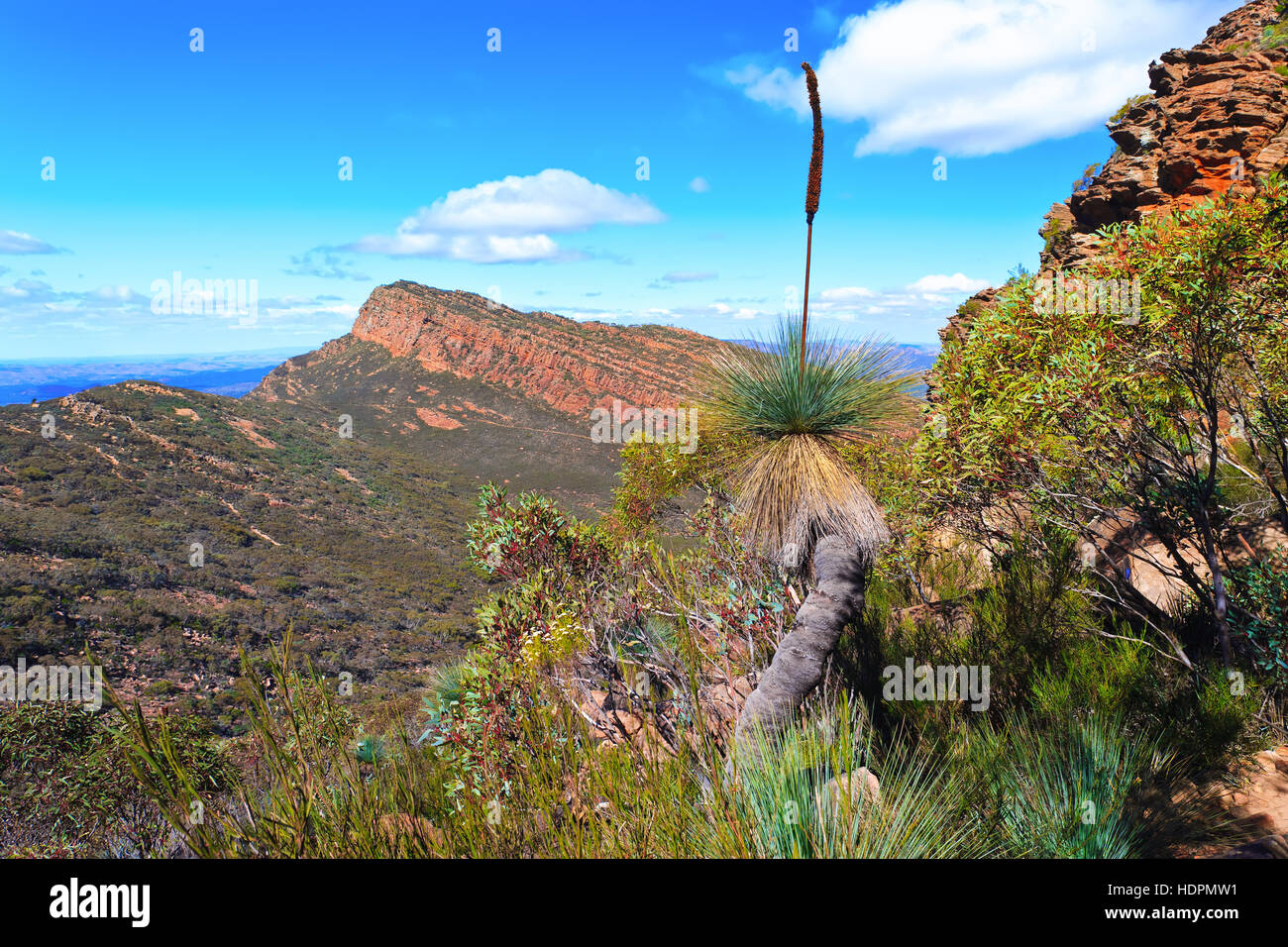 landscape outback panorama Flinders Ranges South Australia Australian ...