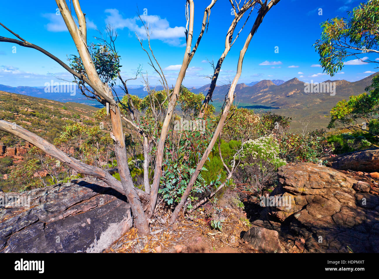landscape outback panorama Flinders Ranges South Australia Australian ...