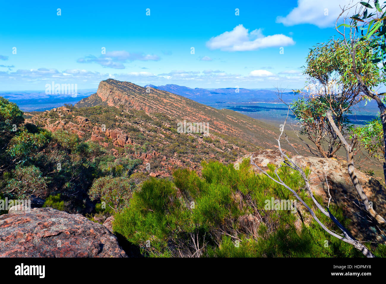 landscape outback panorama Flinders Ranges South Australia Australian ...