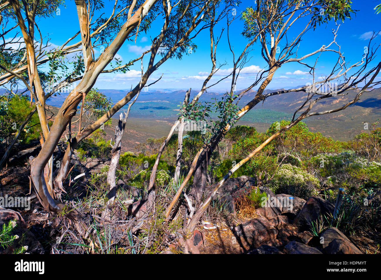 landscape outback panorama Flinders Ranges South Australia Australian ...