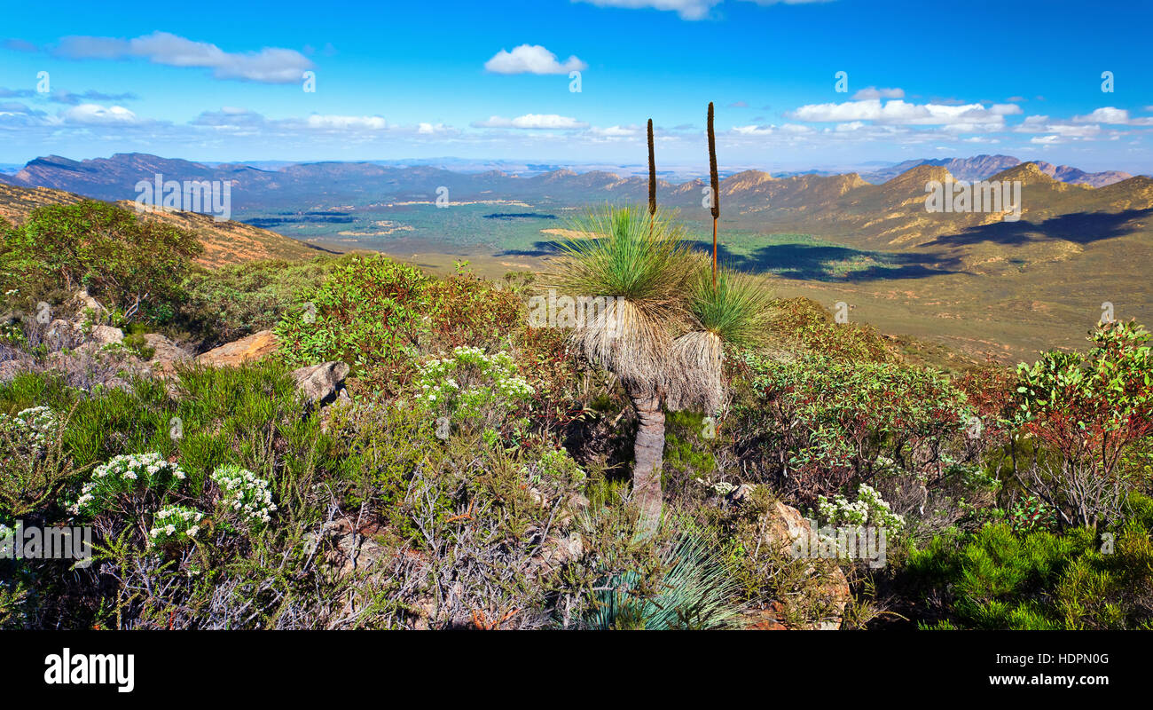 landscape outback panorama Flinders Ranges South Australia Australian ...