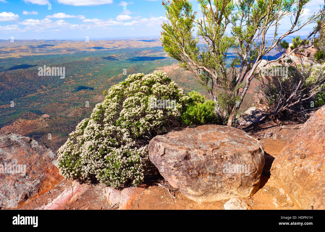 landscape outback Flinders Ranges South Australia Australian landscapes ...