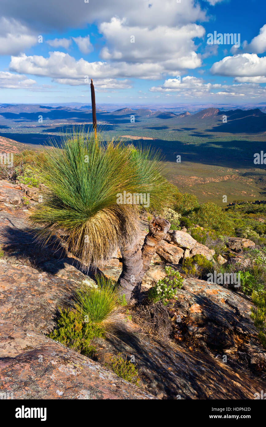 landscape outback panorama Flinders Ranges South Australia Australian ...