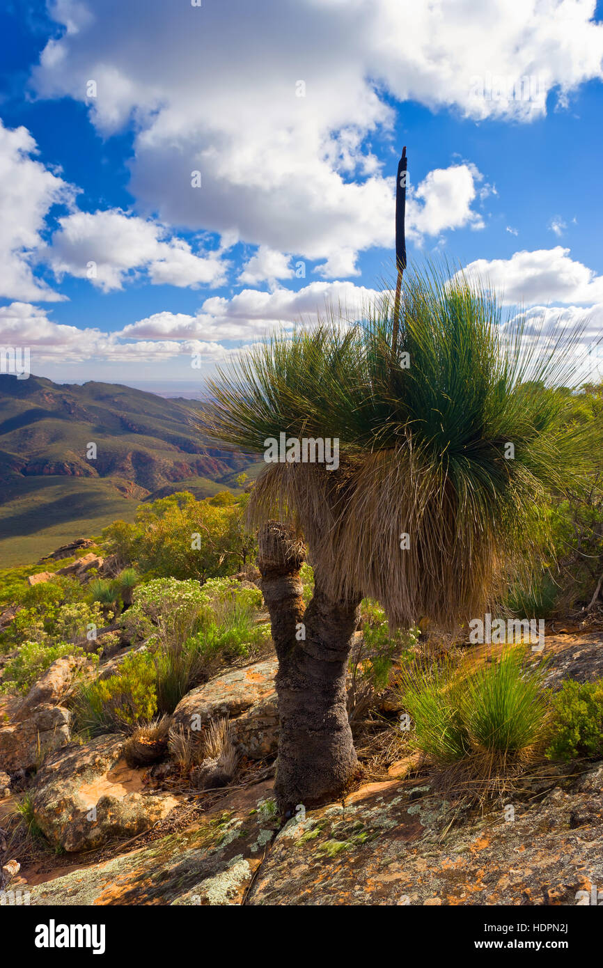 landscape outback panorama Flinders Ranges South Australia Australian ...