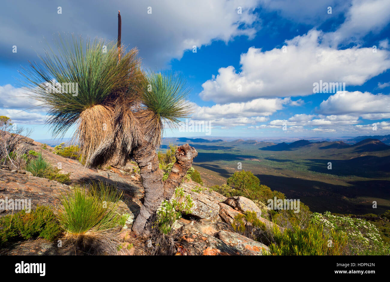 landscape outback panorama Flinders Ranges South Australia Australian ...