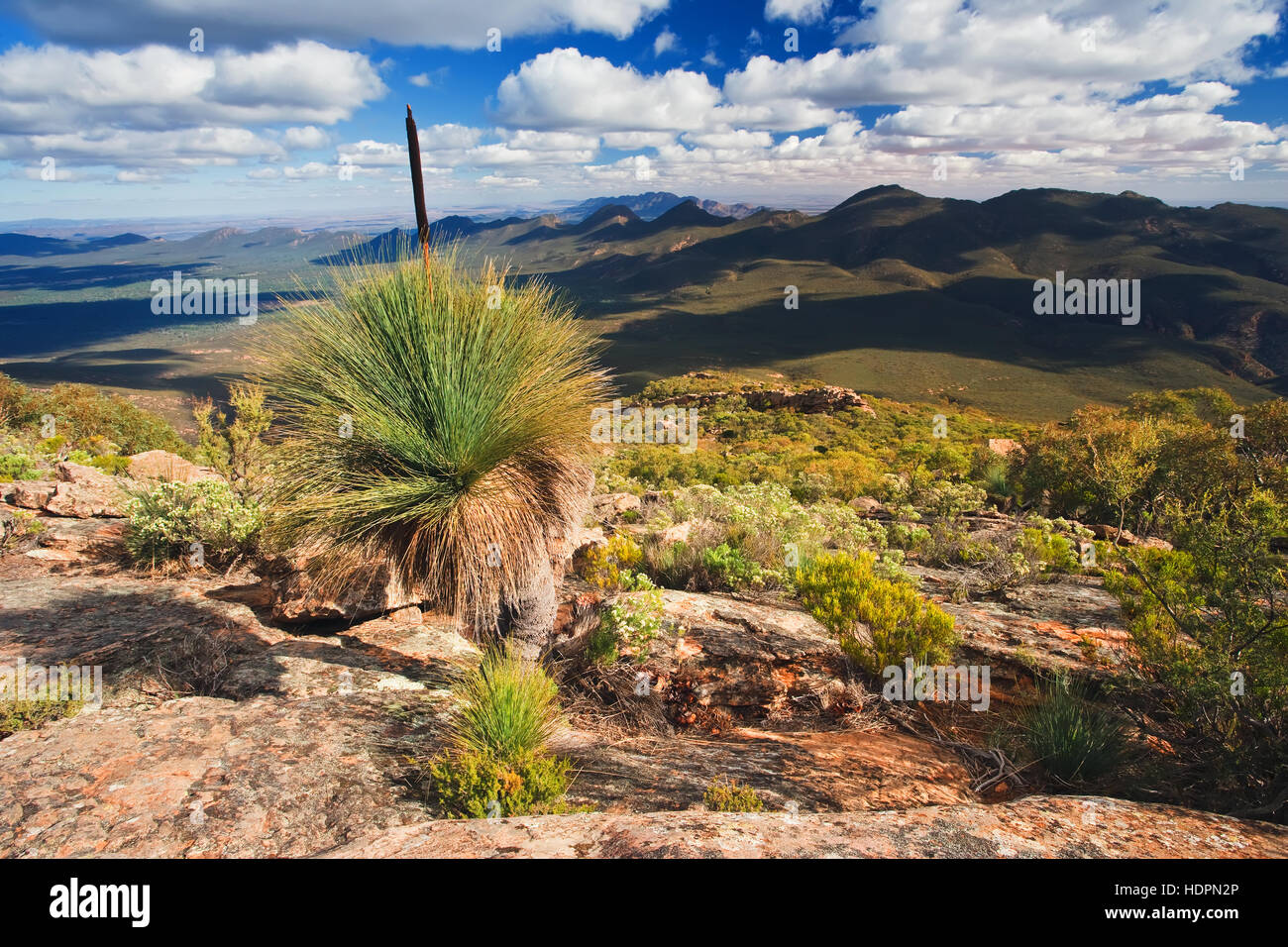 landscape outback panorama Flinders Ranges South Australia Australian ...