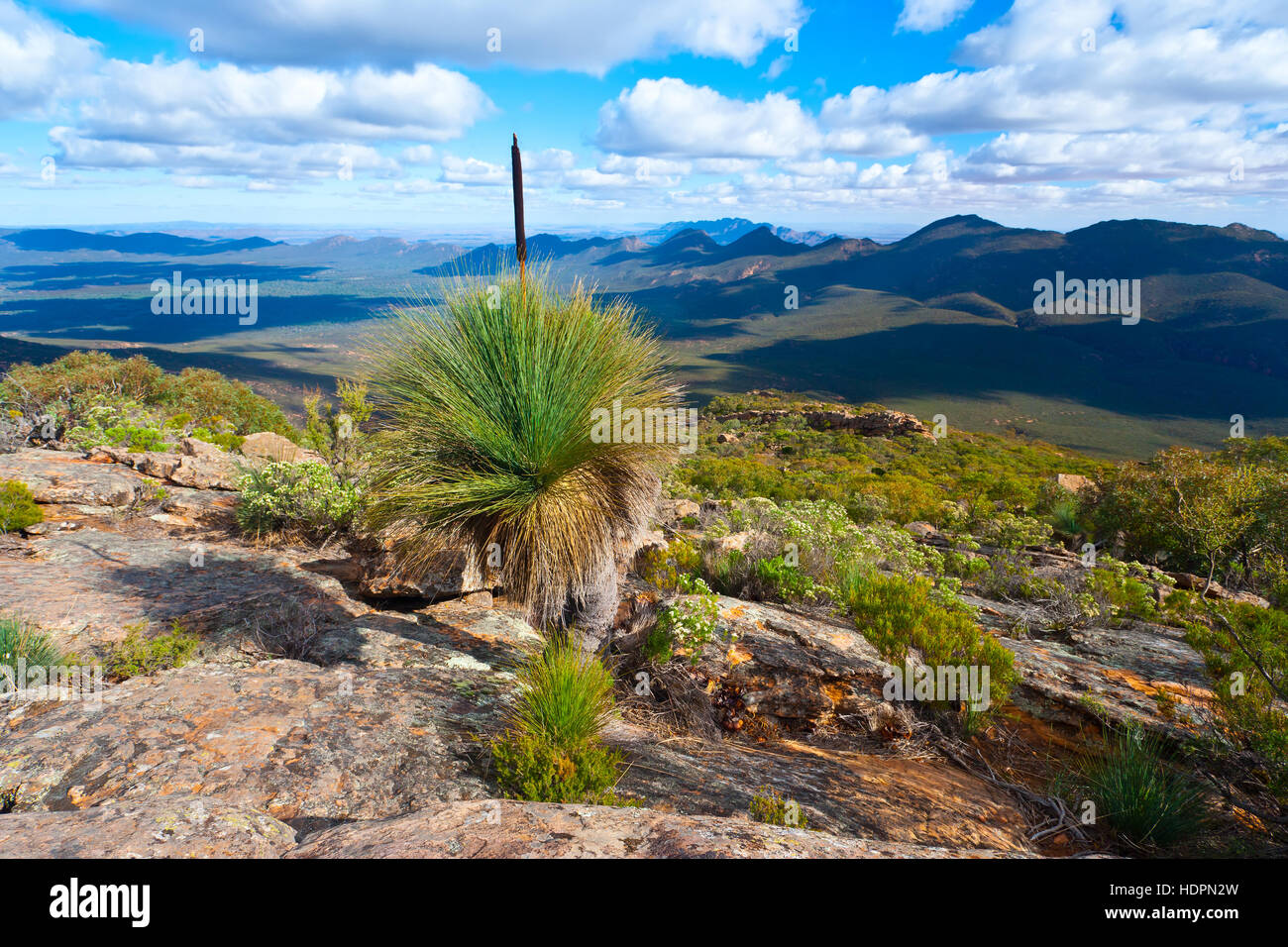 landscape outback panorama Flinders Ranges South Australia Australian ...