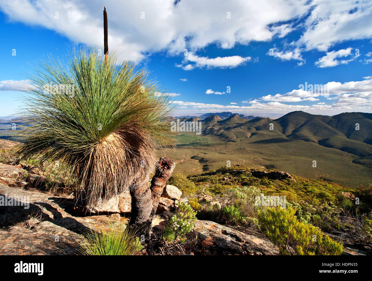 landscape outback panorama Flinders Ranges South Australia Australian ...