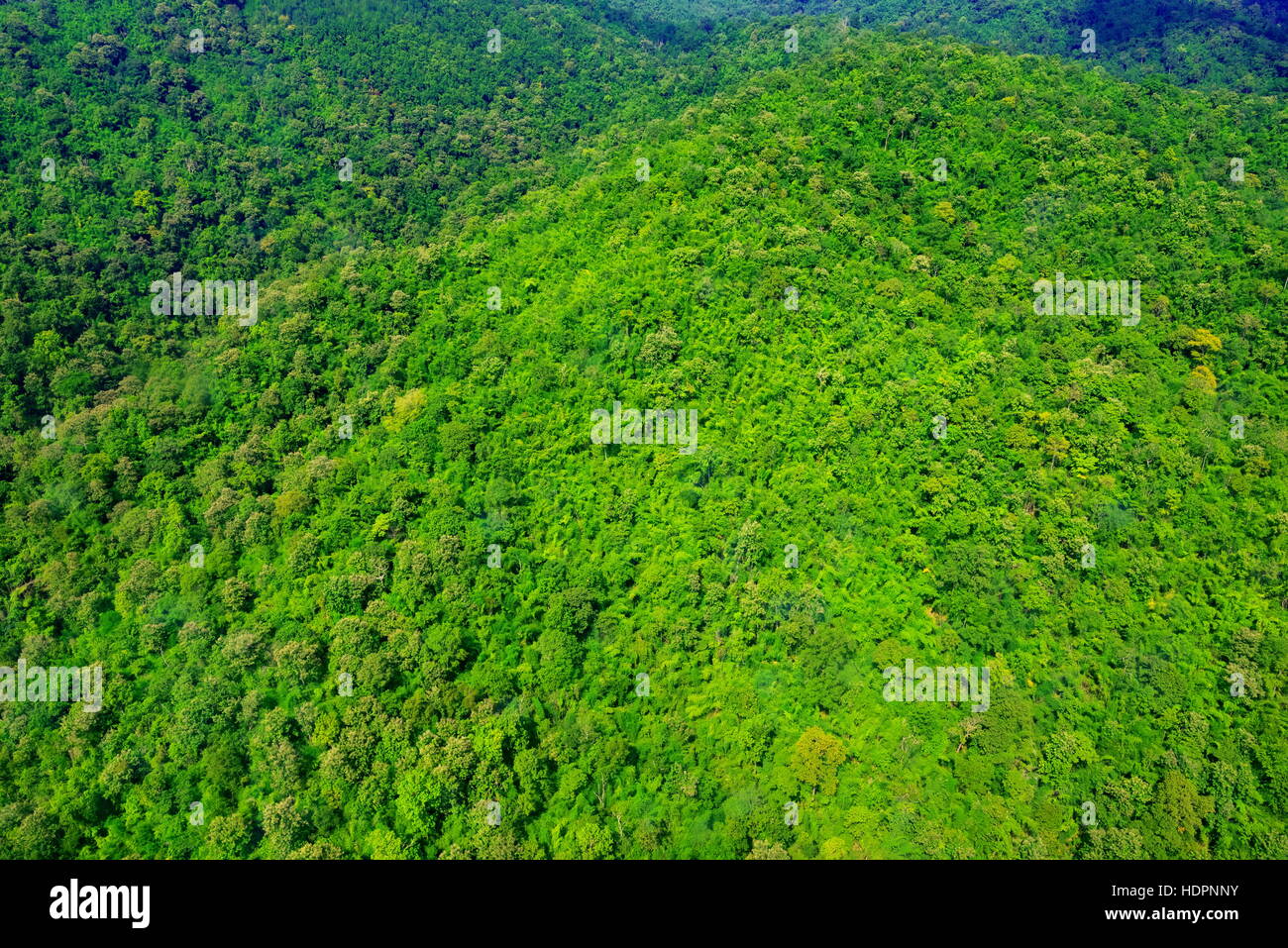 aerial view of the forest Stock Photo - Alamy