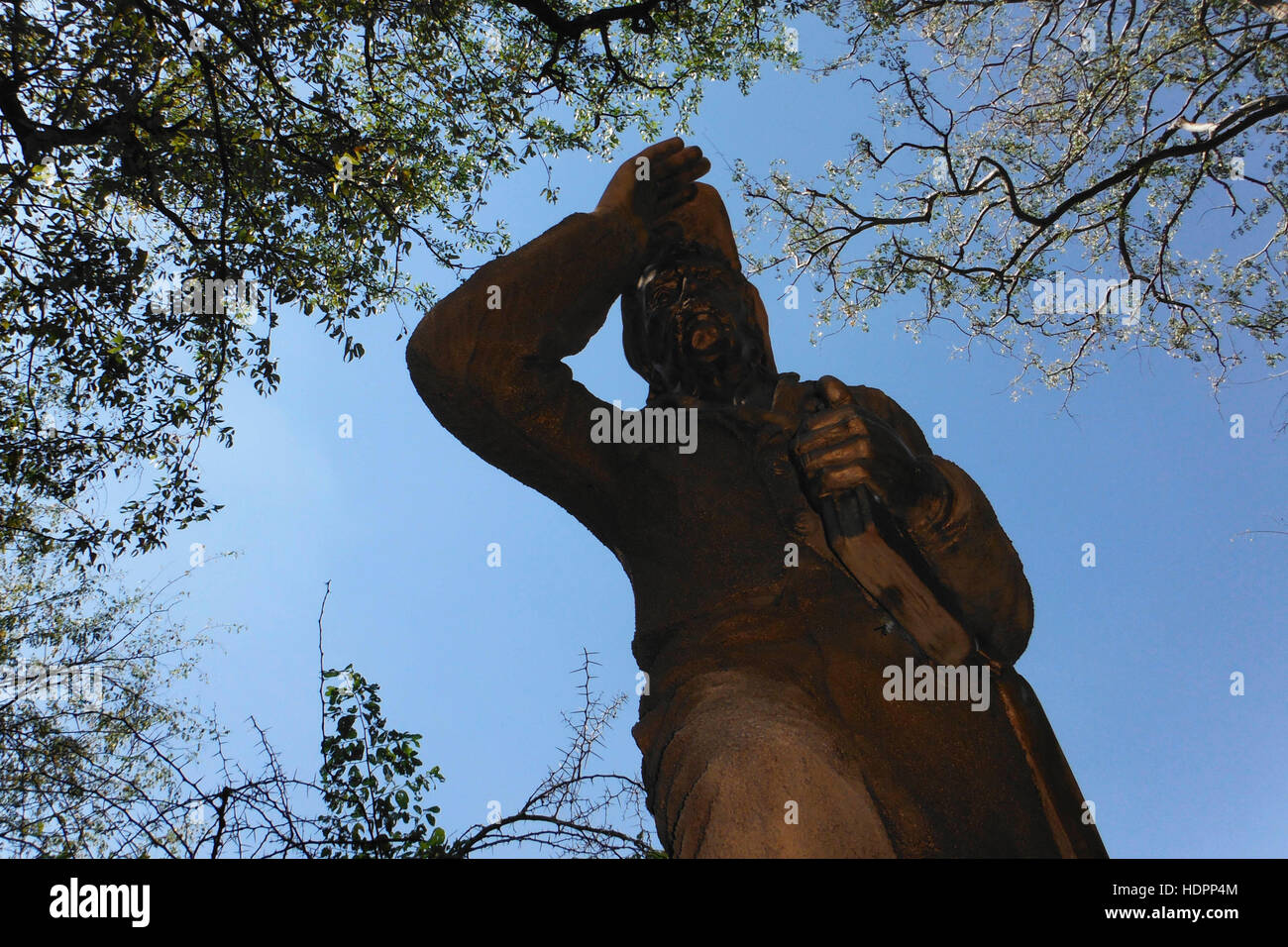 Victoria Falls Statue Of David Livingstone Stock Image