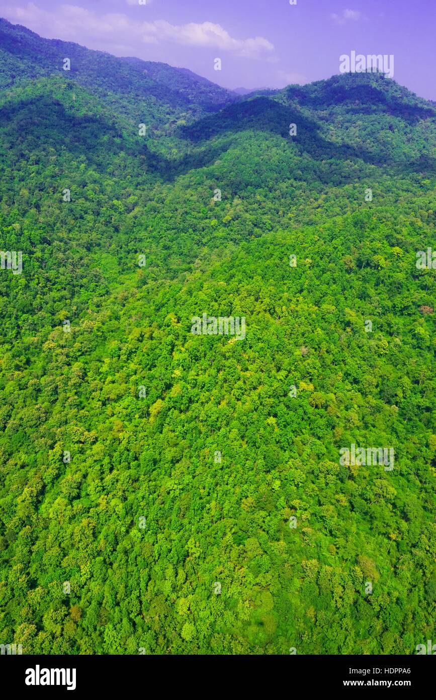 aerial view of the forest Stock Photo - Alamy
