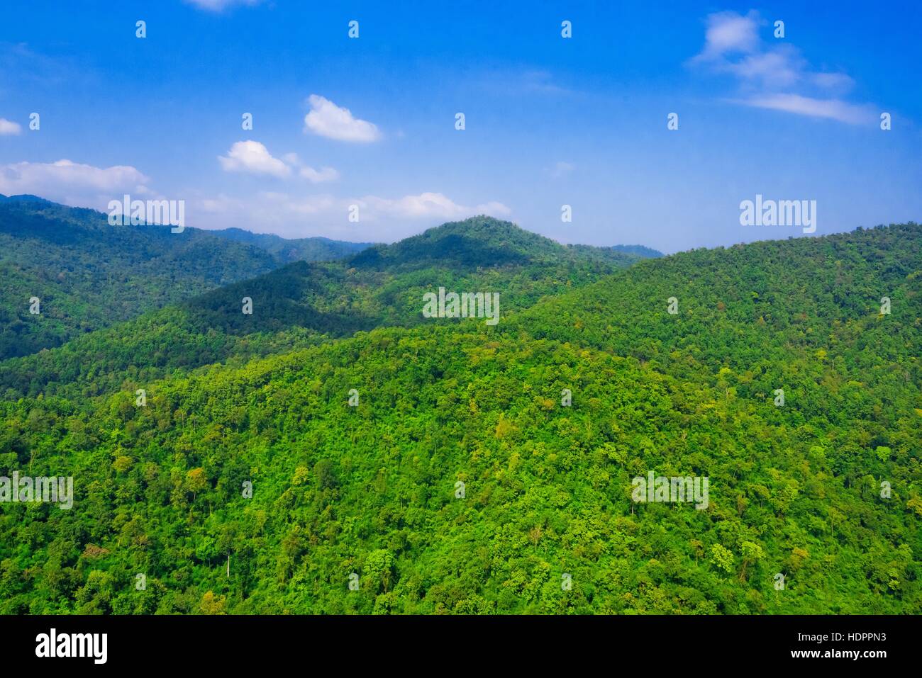 aerial view of the forest Stock Photo - Alamy