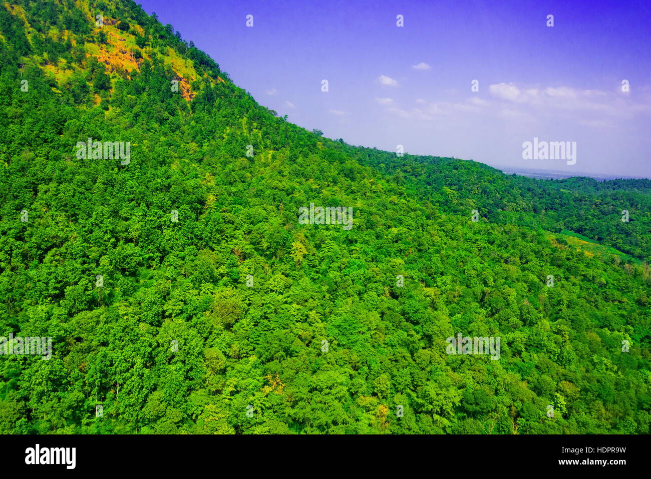 aerial view of the forest Stock Photo - Alamy