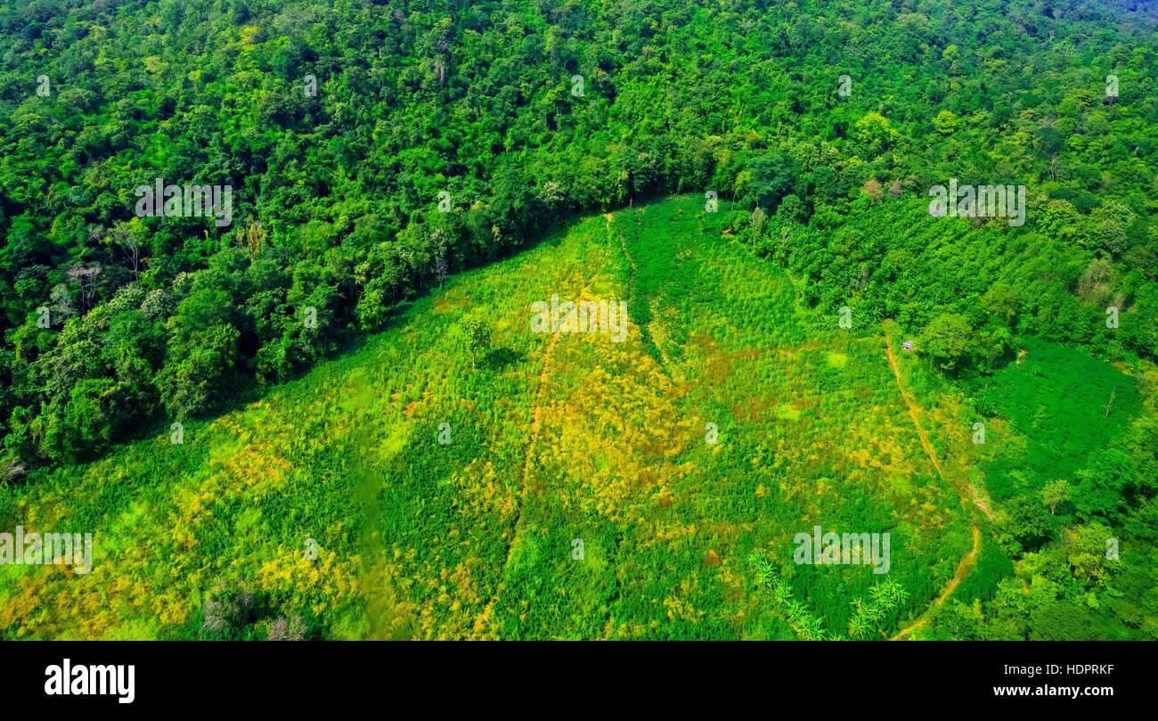 forest destruction in thailand form Aerial view Stock Photo - Alamy