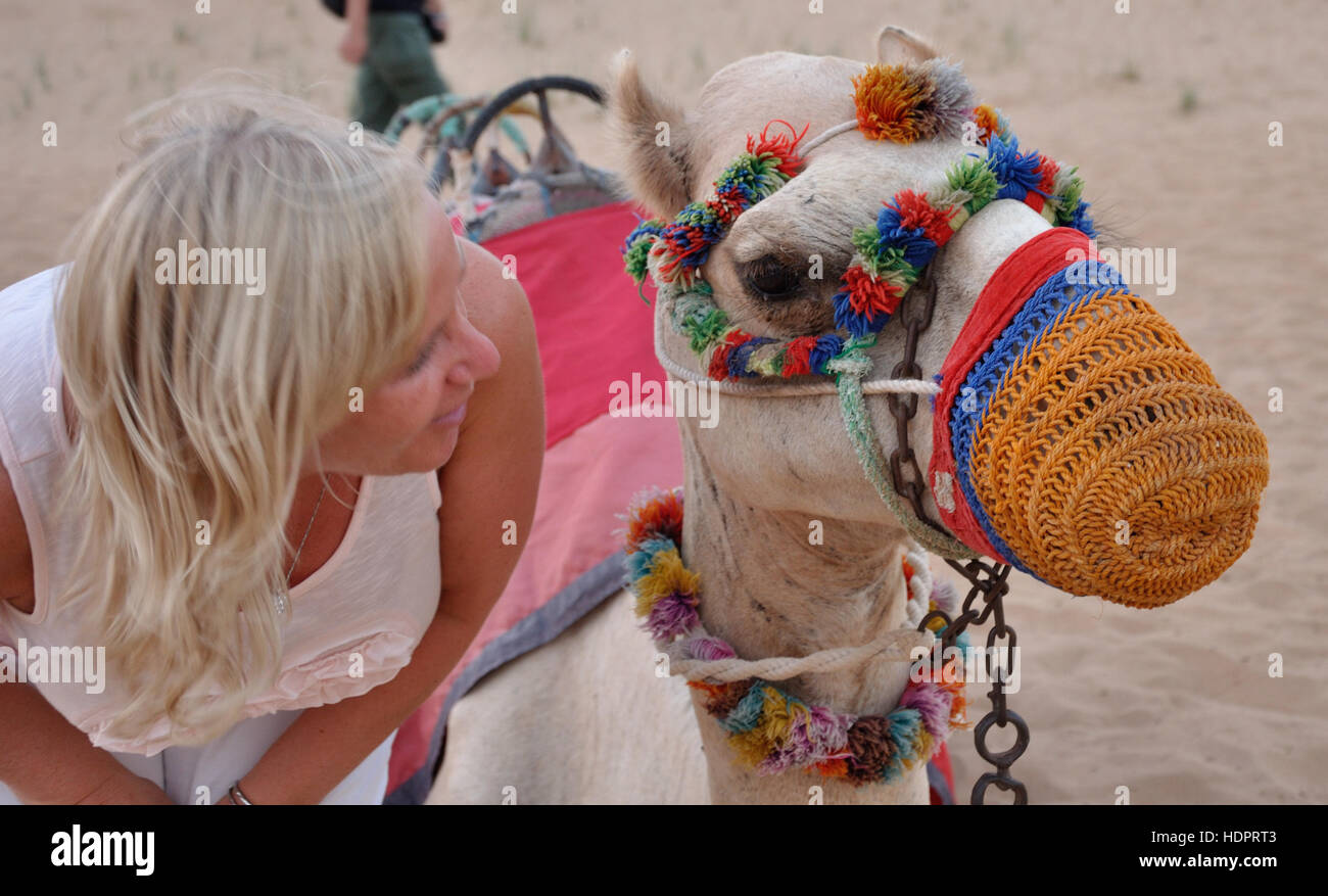 Grumpy camel hi-res stock photography and images - Alamy
