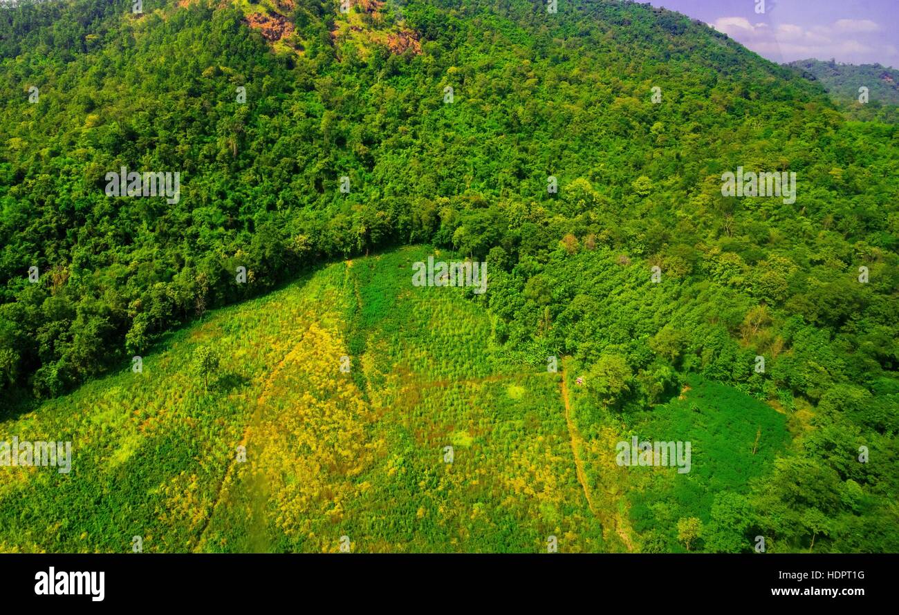 forest destruction in thailand form Aerial view Stock Photo - Alamy