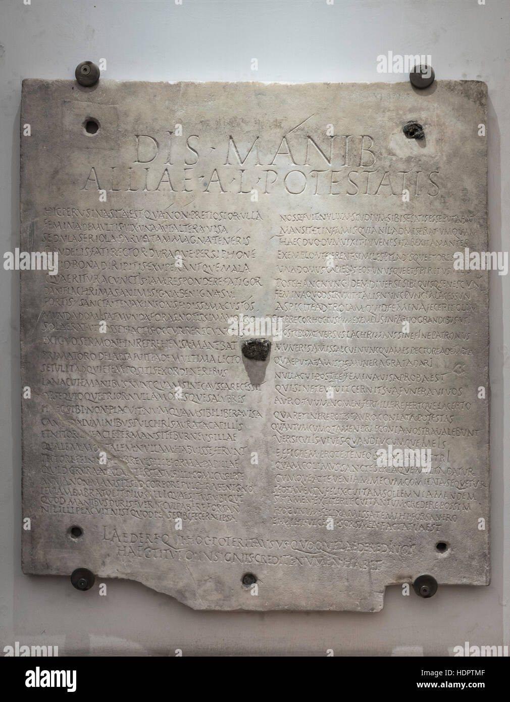 Allia hi-res stock photography and images - Alamy