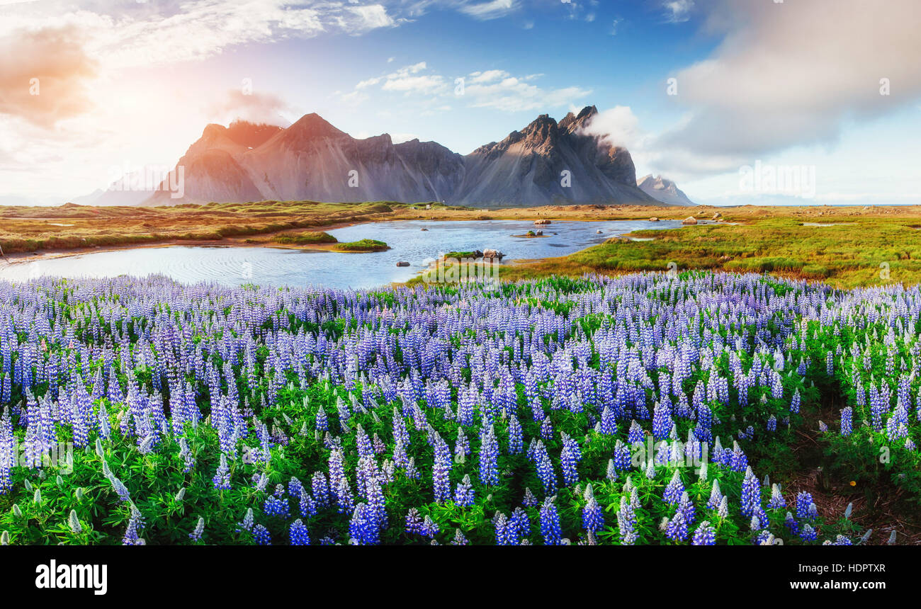 Picturesque views of the river and mountains in Iceland Stock Photo - Alamy