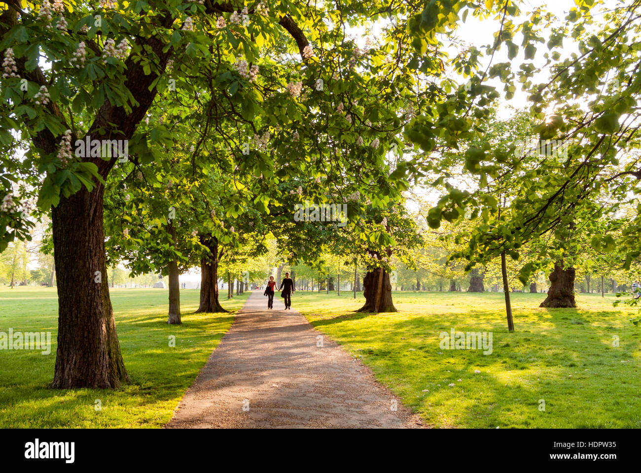 Kensington gardens london hi-res stock photography and images - Alamy