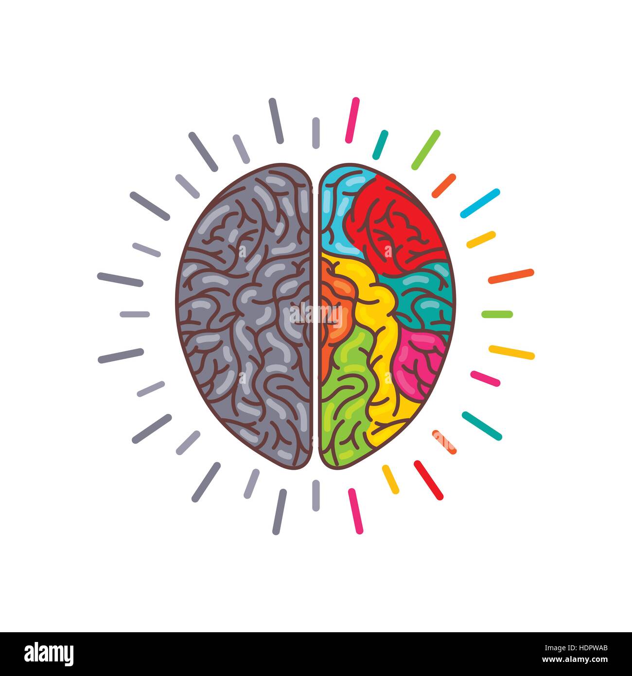 human brain with two cerebral hemispheres icon over white background ...