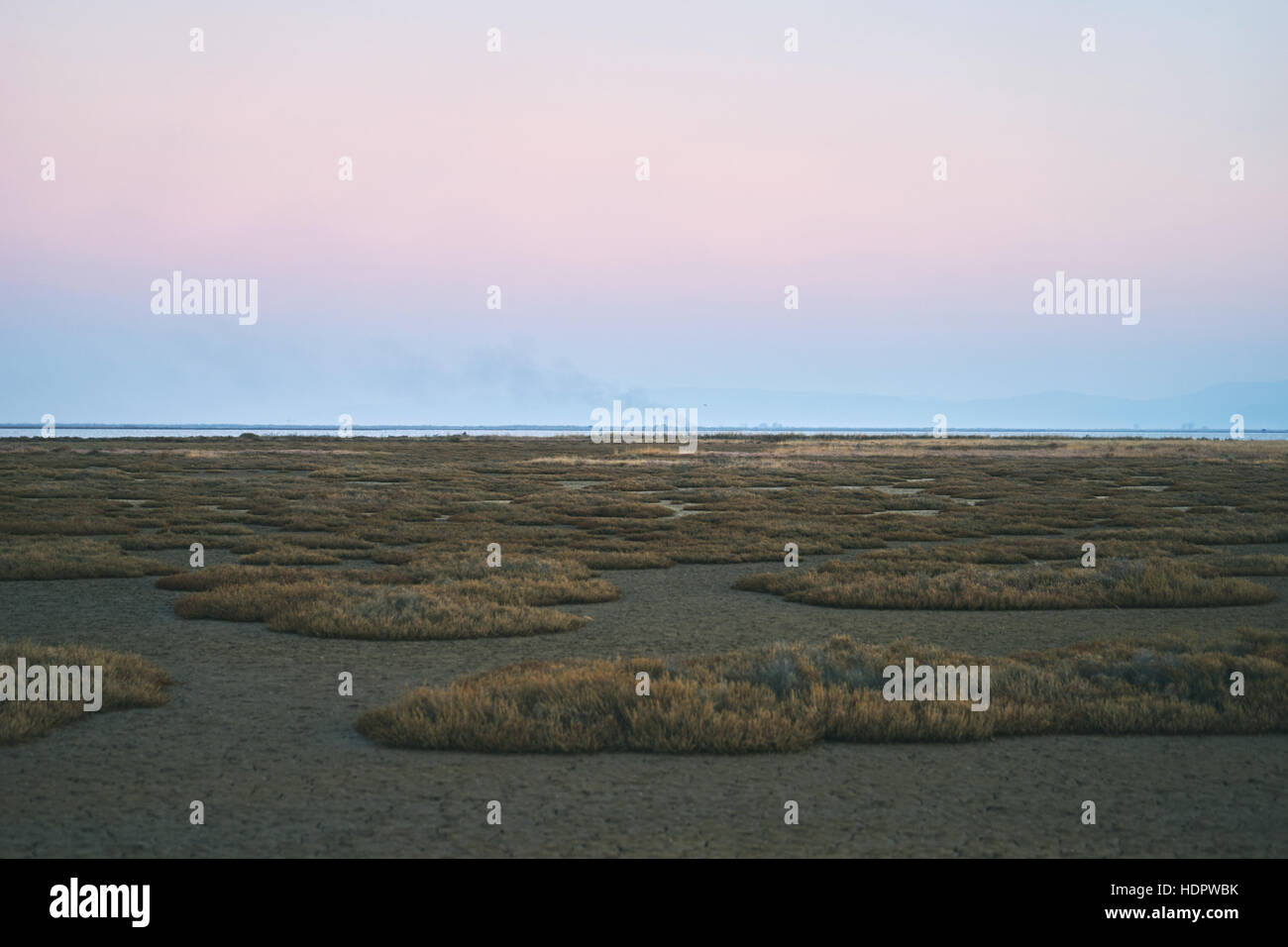 Dry winter landscape, Delta of river Evros, Greece Stock Photo - Alamy