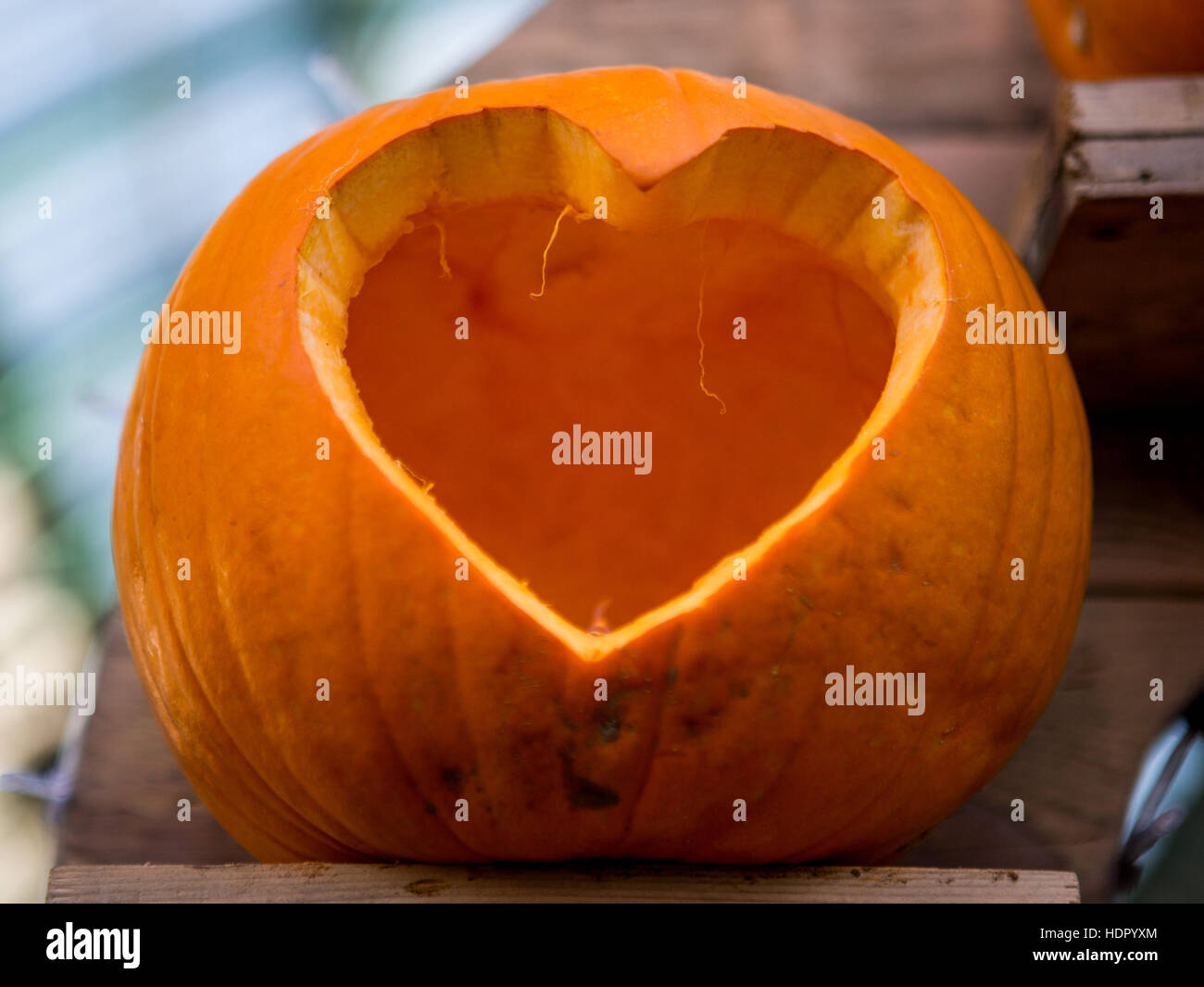 World Vision Pumpkin Patch pop-up. A display in Covent Garden, London ...