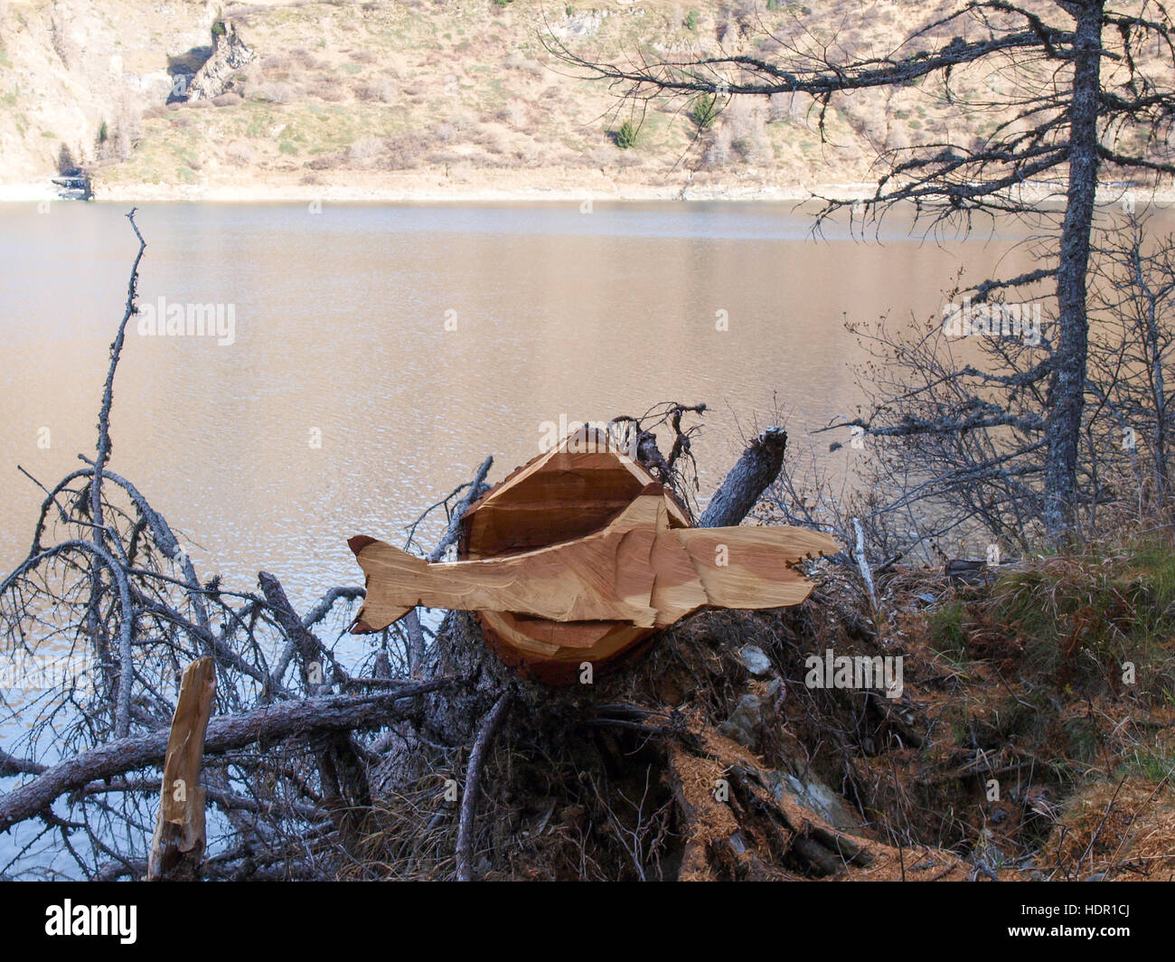 Val Piora, Switzerland: Shark carved out of wood resting on a tree ... Val Piora, Switzerland: Shark carved out of wood resting on a tree ...