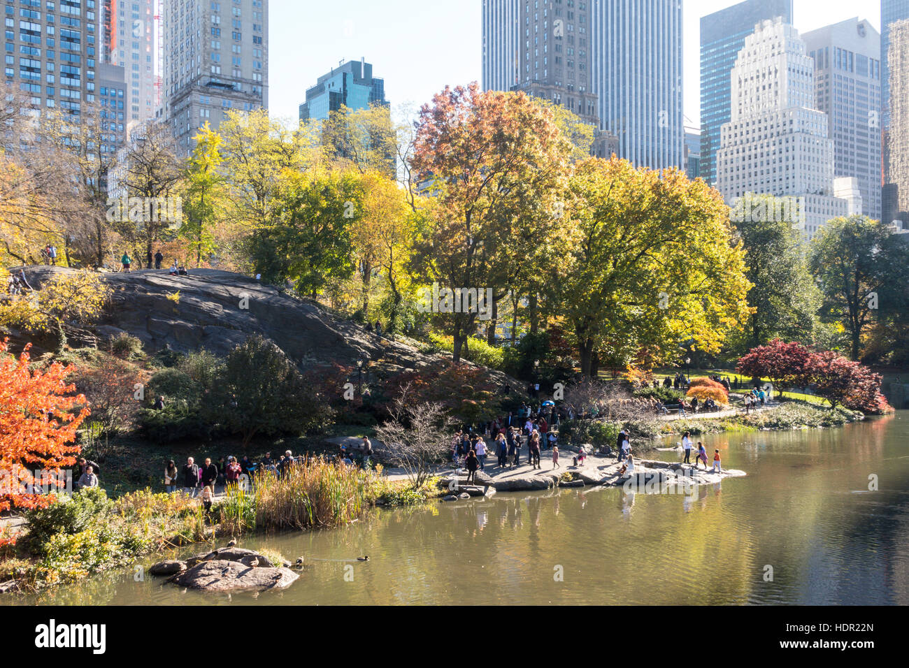 The Pond with Autumn Trees in Central Park, NYC, USA Stock Photo - Alamy