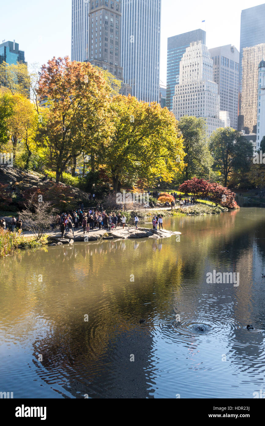 The Pond with Autumn Trees in Central Park, NYC, USA Stock Photo - Alamy
