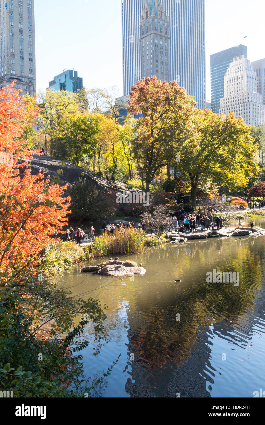 The Pond with Autumn Trees in Central Park, NYC, USA Stock Photo - Alamy