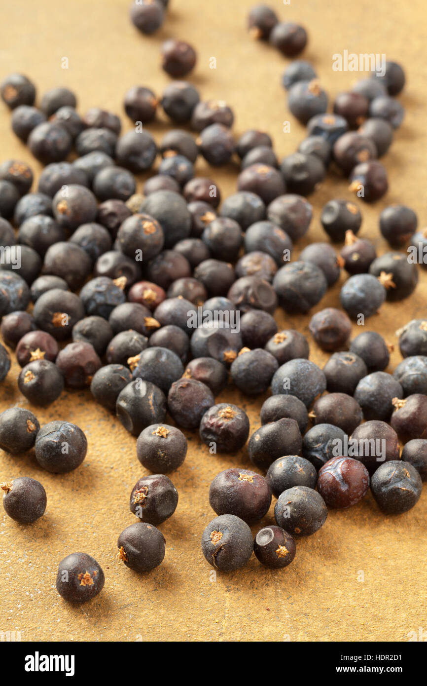 Juniper berry hi-res stock photography and images - Alamy