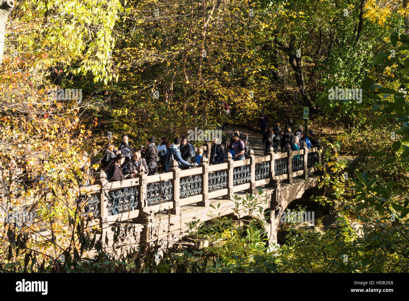 Oak Bridge at Bank Rock Bay, The Lake, Central Park, NYC Stock Photo ...