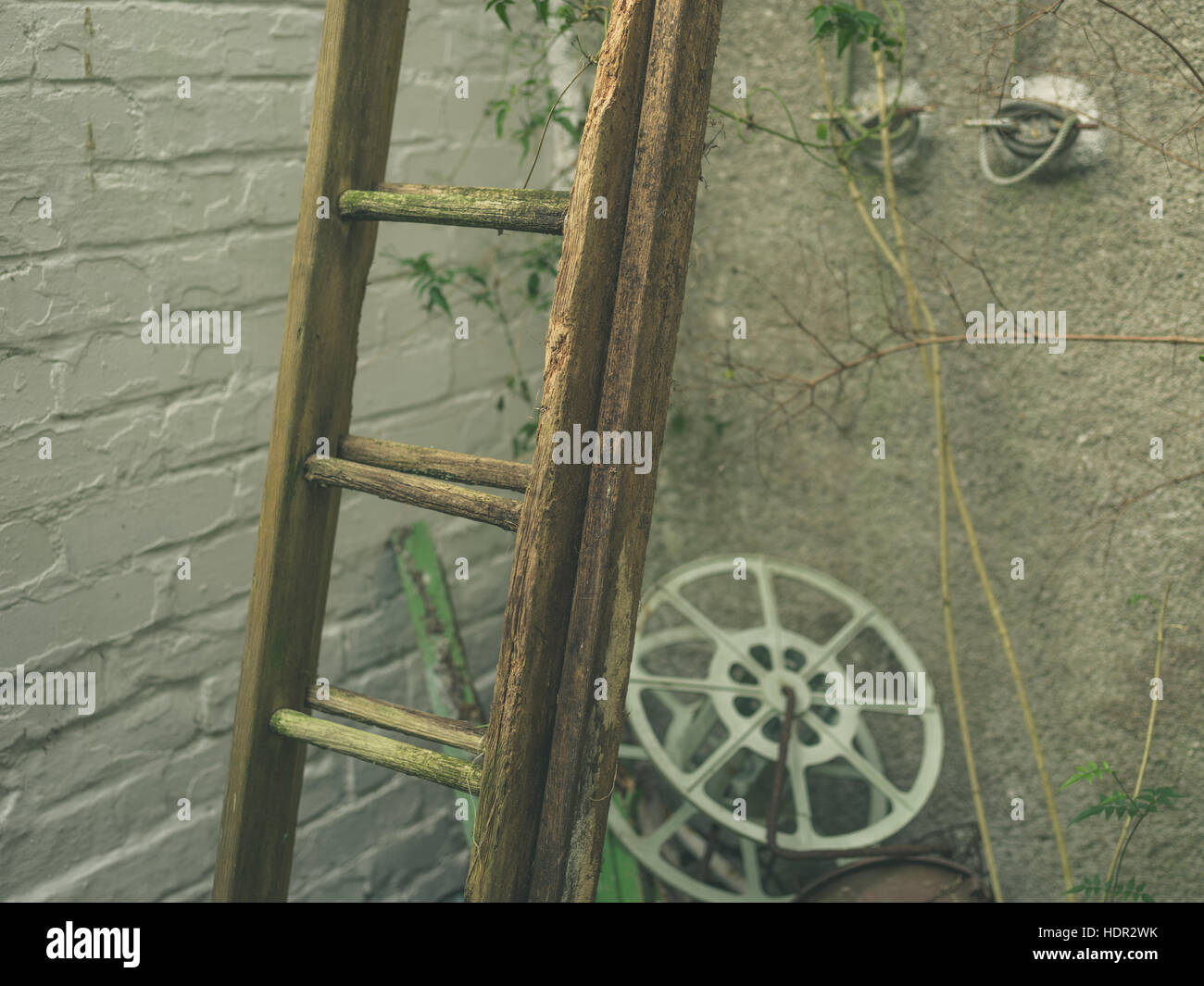 An old wooden ladder outside against a wall Stock Photo - Alamy