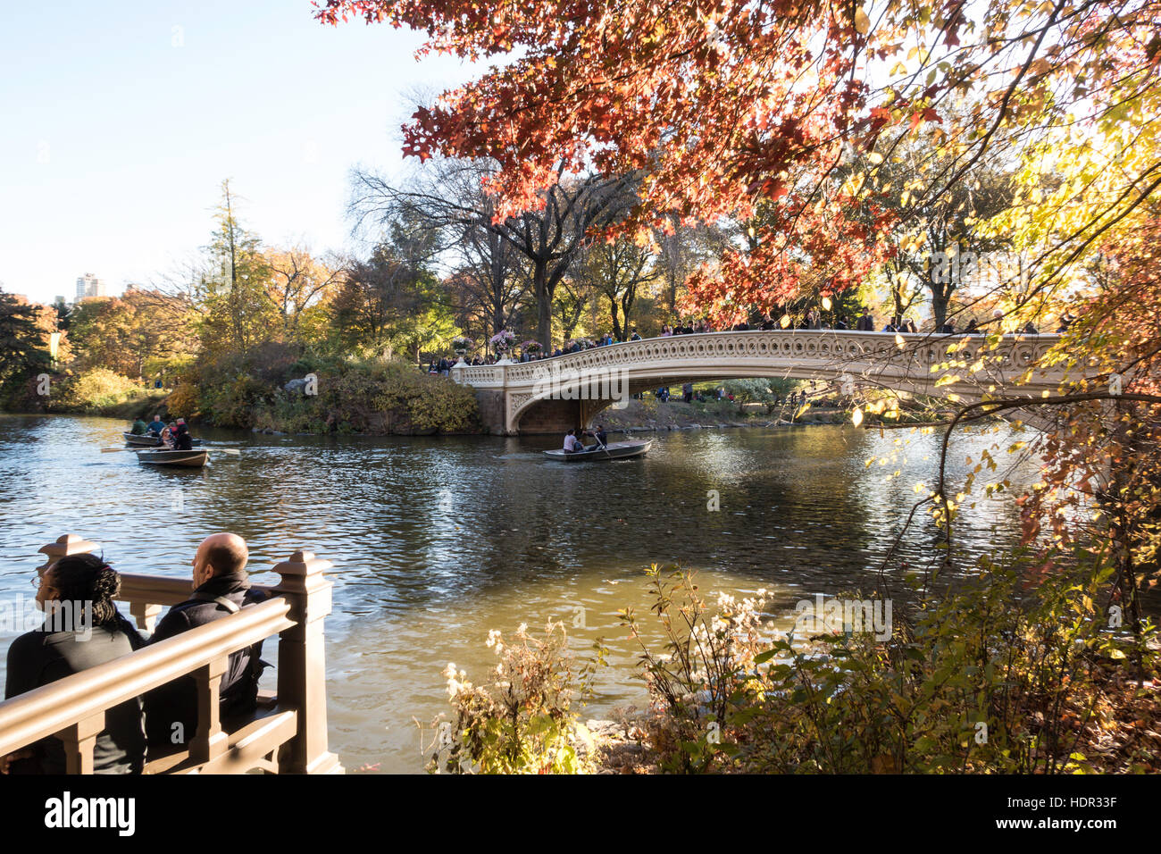 The Lake with Bow Bridge in Central Park, NYC Stock Photo - Alamy