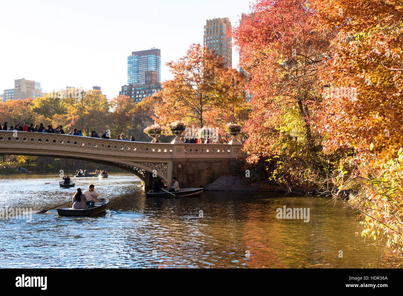 The Lake with Bow Bridge in Central Park, NYC Stock Photo - Alamy