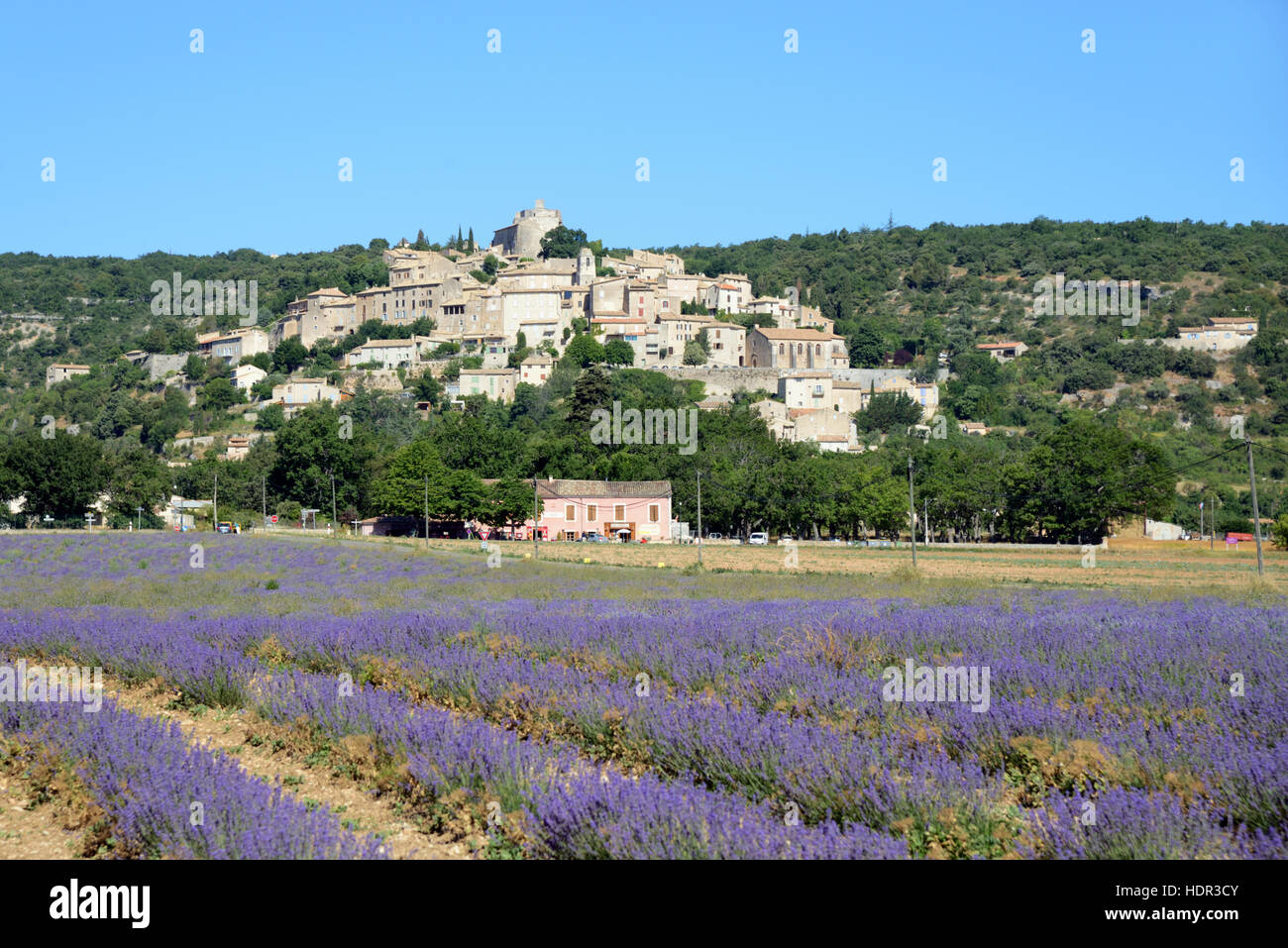 Simiane-la-Rotonde or Simiane la Rotonde and Lavender Field Alpes-de ...