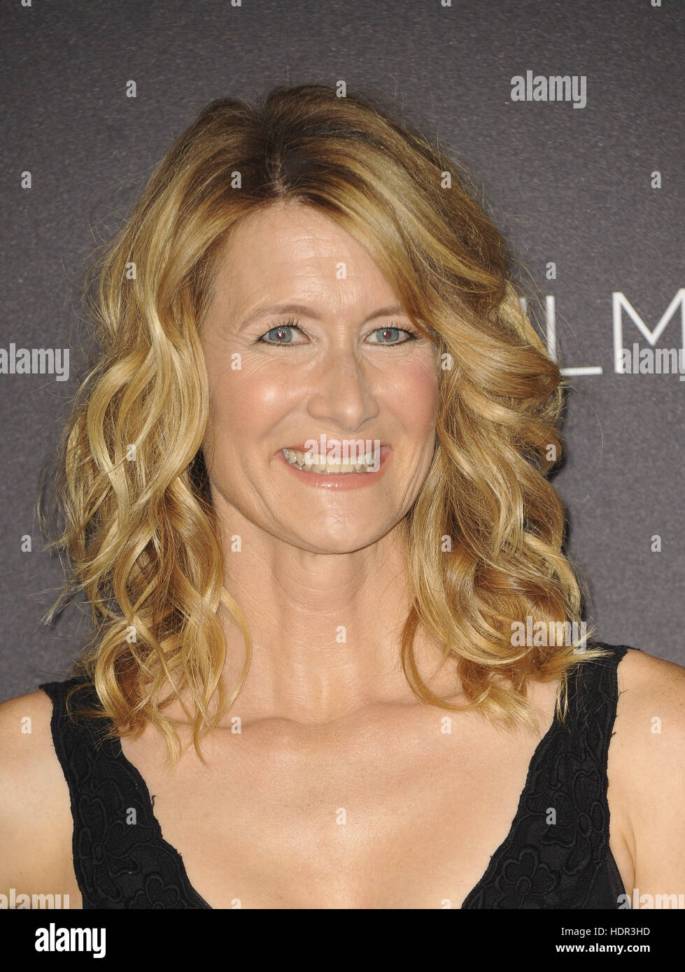 The 2016 LACMA Art + Film Gala Featuring: Laura Dern Where: Los Angeles ...