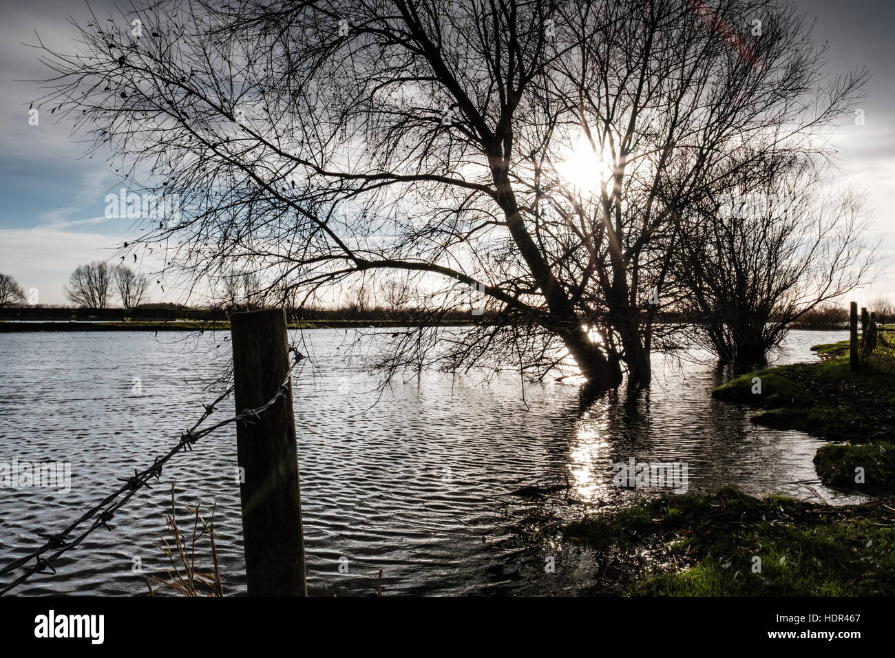 Flooded riverbank seen from the shoreline, the image shows partially ...
