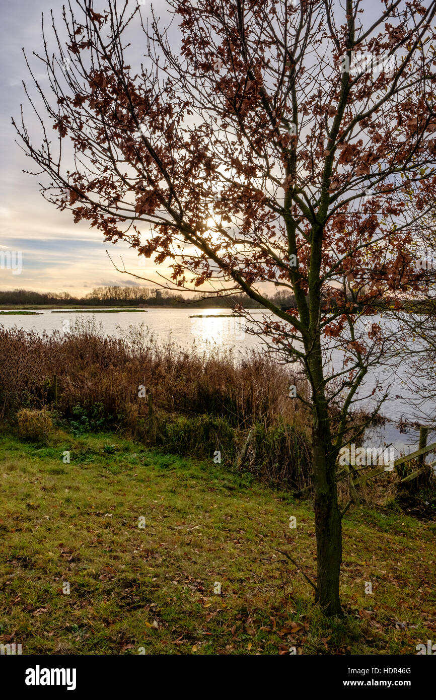 Sunset over a large nature reserve showing a lake, once used as a ...