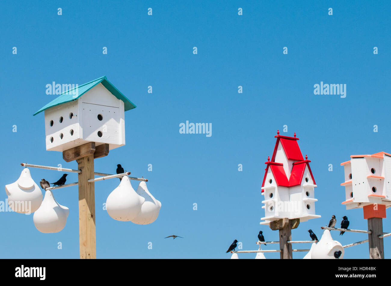 Swallow houses Currituck National Wildlife Refuge, Carova Beach Park ...