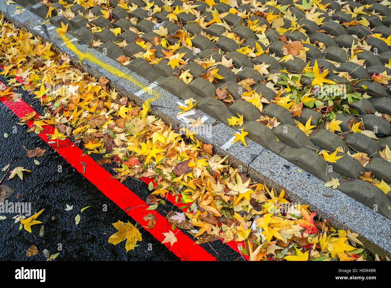 Road line red stripe hi-res stock photography and images - Alamy